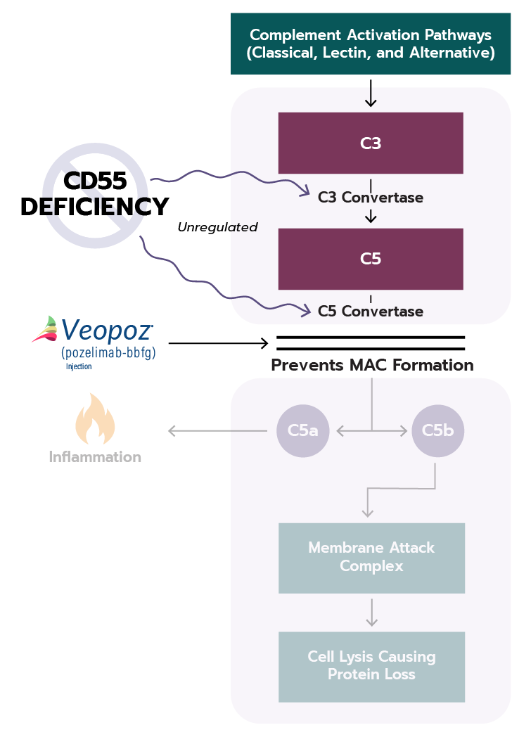 CHAPLE Disease Treatment | VEOPOZ(TM) (pozelimab-bbfg)