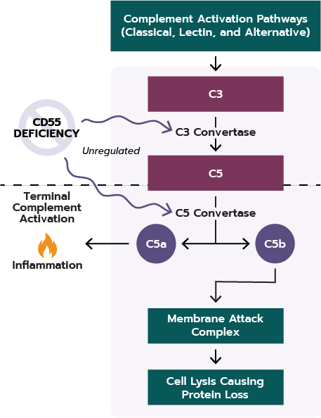 VEOPOZ® (pozelimab-bbfg)